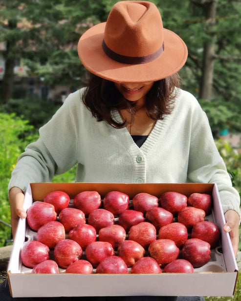 Kinnaur Royal Delicious Apples – Phal Phool