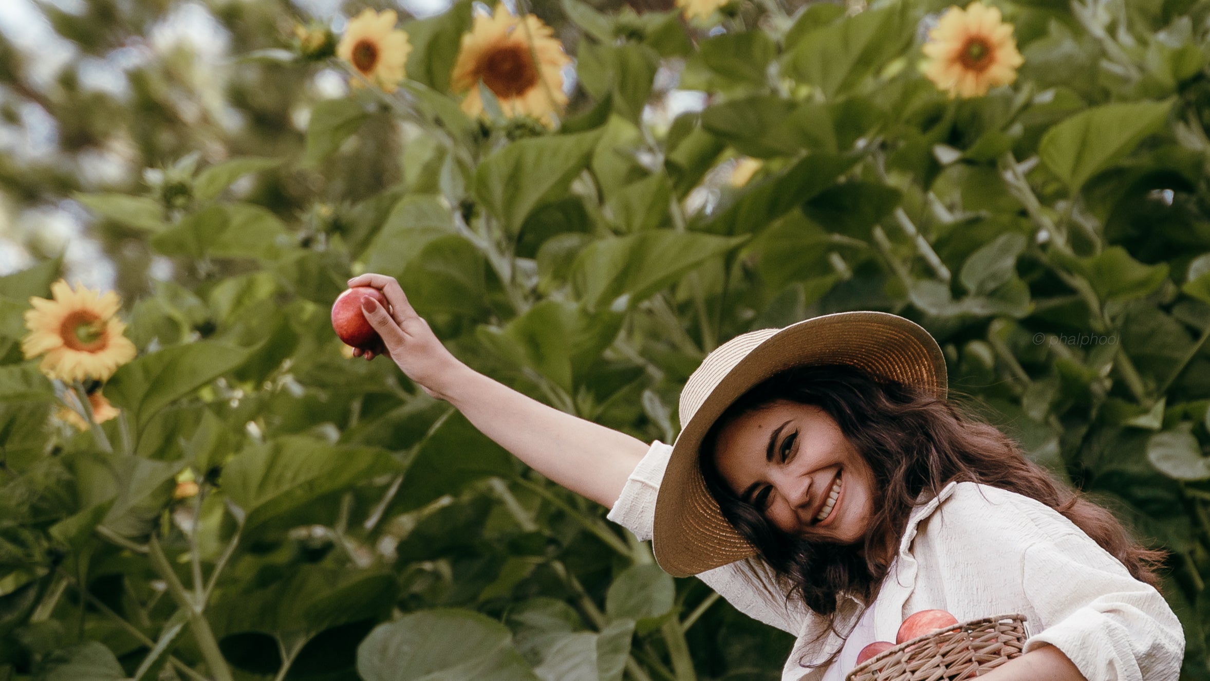 Phal Phool - Farm Fresh Apples Delivered to Your Doorstep