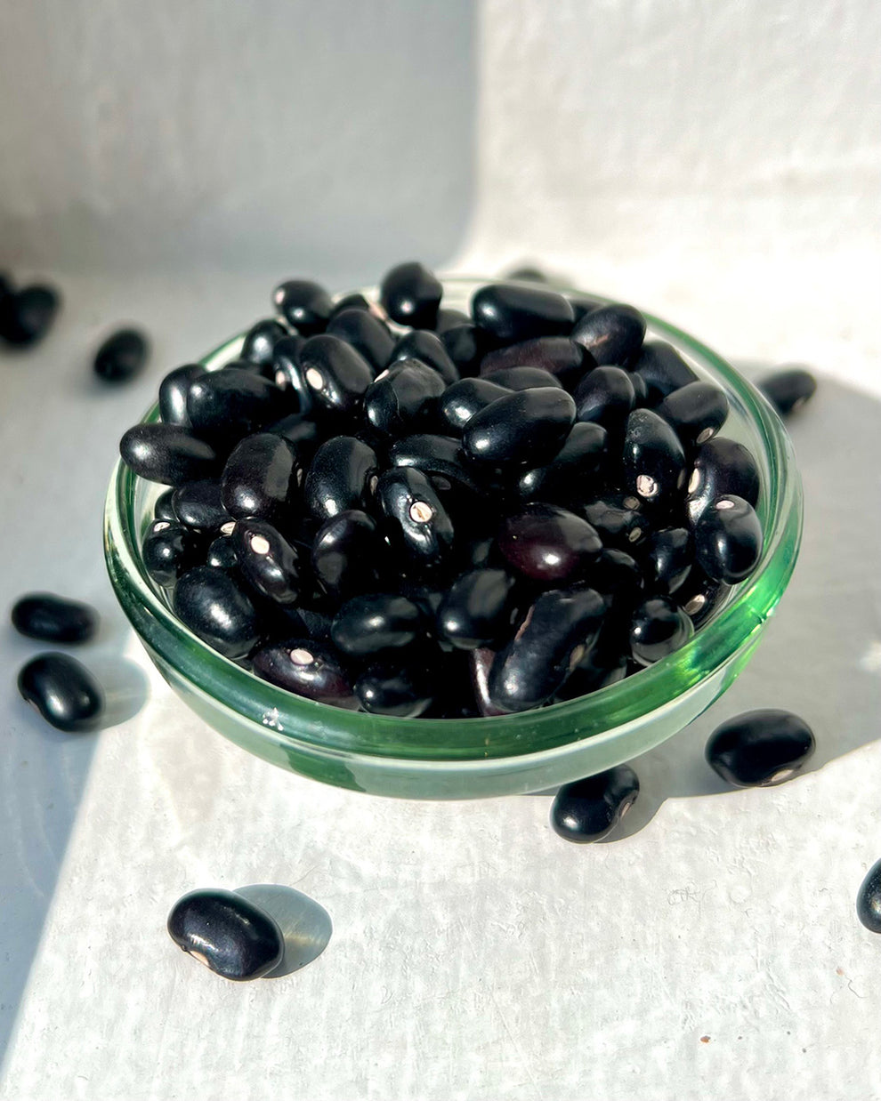 Black Pahadi Rajma Seeds – Phal Phool