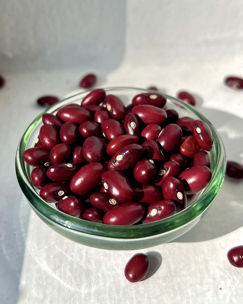 Pahadi Red Rajma Seeds – Phal Phool