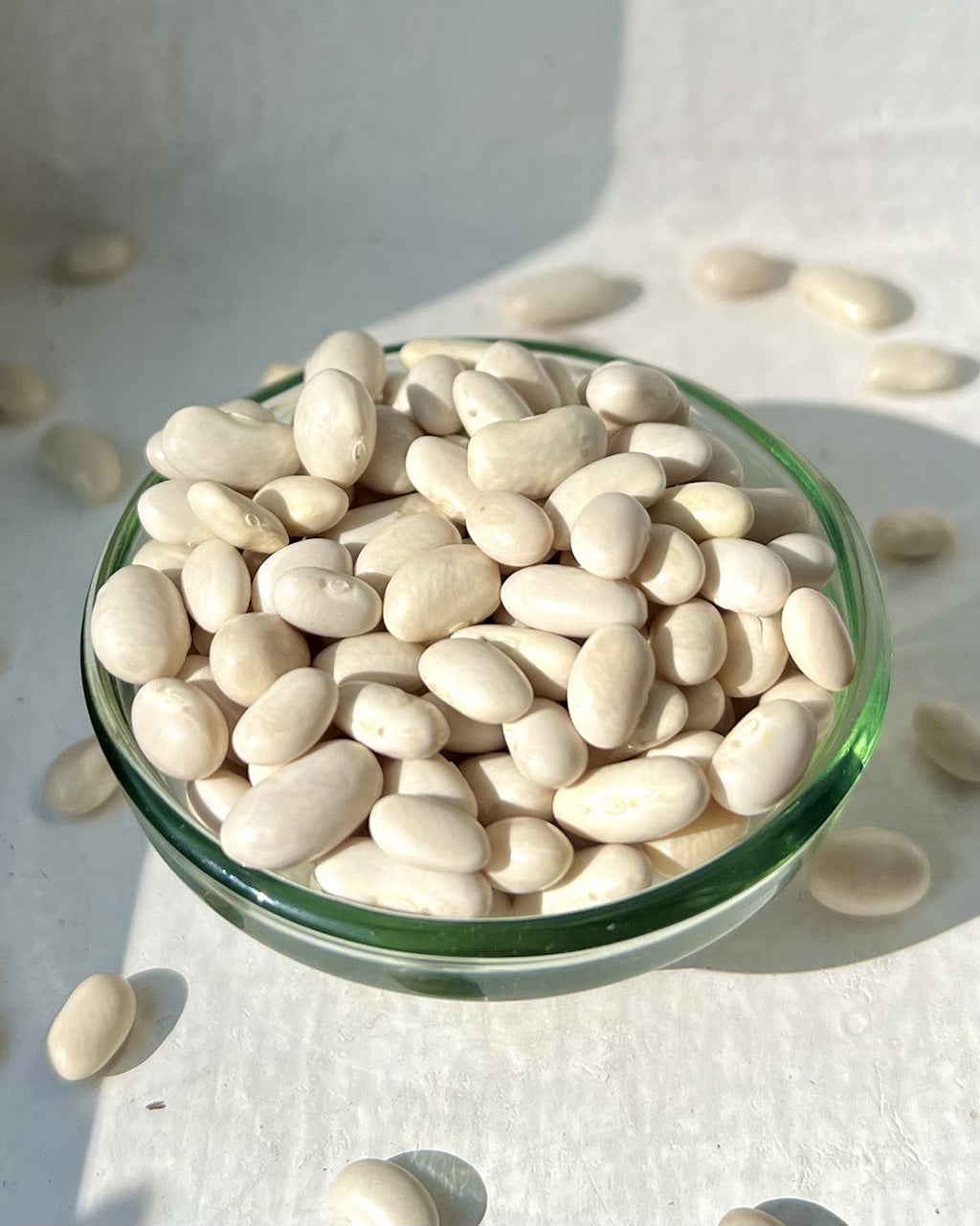 White Pahadi Rajma Seeds – Phal Phool